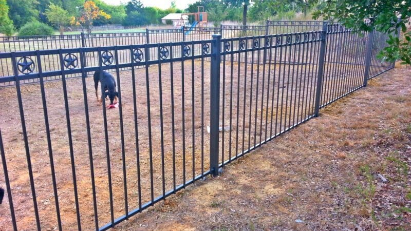 Texas Fence Contractors for 25 Years, Buzz Custom Fence